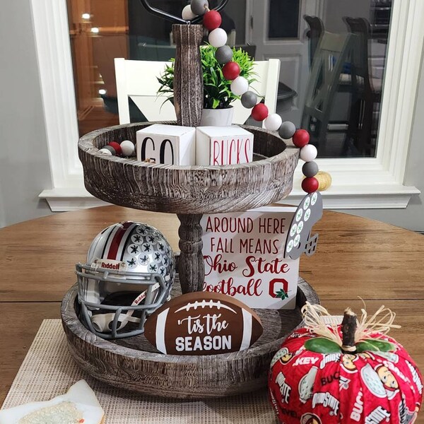 Uga,fabric College Pumpkin, Fall Decor, Autumn Decor, College Football ...