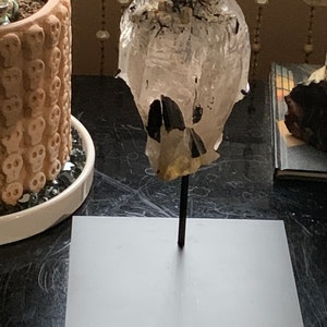 Center Post Base Display Stand for Shells and Other Hollow - Etsy