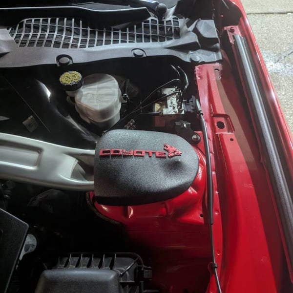 2020-2022 Ford Mustang GT500 Strut Tower Covers Custom Fitted (predator ...