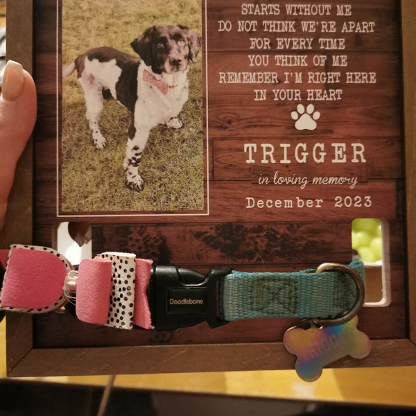Memorial Pet Loss Frame Dog or Cat, Puppy Memorial Wood Frame With ...