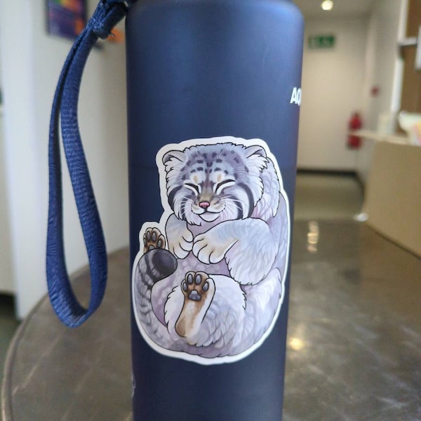 Sleepy Big Cat Sticker Pack 5 Vinyl Animal Stickers - Etsy