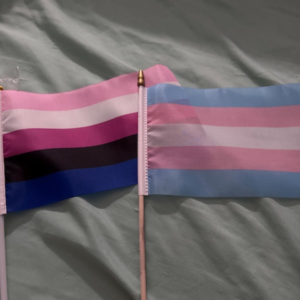 DIGITAL FILE: Printable Extended Pride Flag Reference Guide - Includes ...