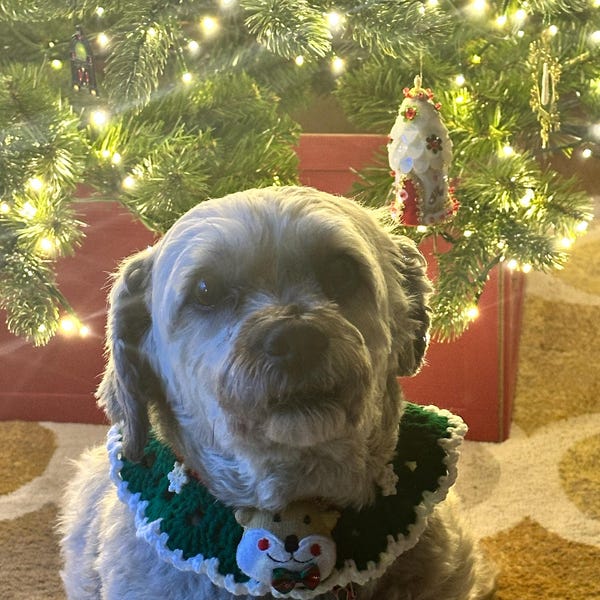 Adjustable Cute Crochet Soft Ribbon Kitten Collar Pet Costume Cat ...