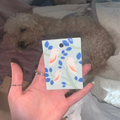 Terracotta Pot Zoi Assorted Plate - Etsy