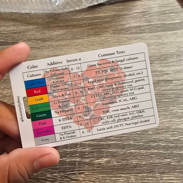 Big Phlebotomy Practice Kit Butterfly Needle Order of Draw Phlebotomy ...