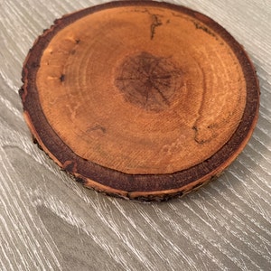 Variety Pack Natural Tree Wood Coasters With Bark 4-pack Coasters for ...