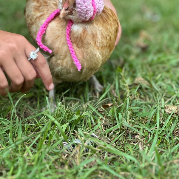 Crochet Pattern, Bonnet for Chickens, Sunday Bonnet, Little Red Hen Hat ...
