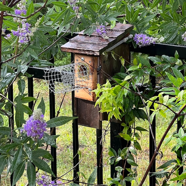 Birdhouse Predator Guard | Leonard Style - Etsy