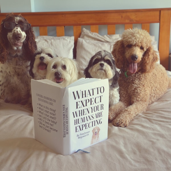 INSTANT DOWNLOAD What to Expect When Your Humans Are Expecting Fake ...