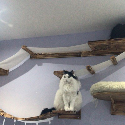 Large Wall Mounted Cat Bridge Lounge Platform Built Solid Wood and ...