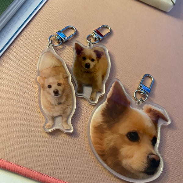 Custom Cat Keychain, Dog Keychain, Pet Keychain, Personalized Pet Photo ...