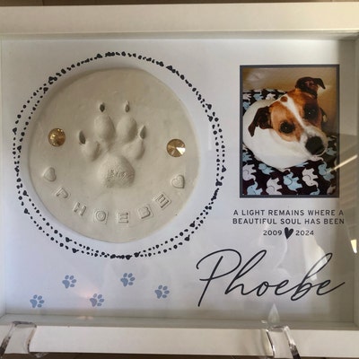 Pet Memorial Paw Print Holder Shadow Box, Two Paw Prints, Pet Loss ...