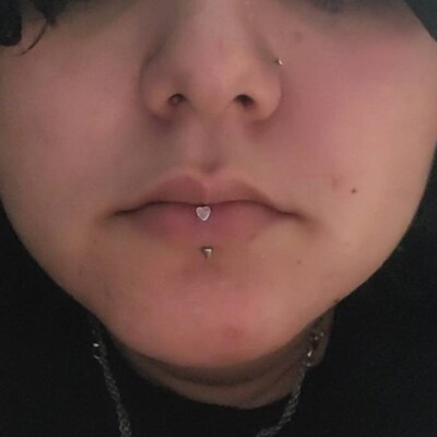 16G Implant Titanium Heart Eyebrow Ring/rook Barbell/curved Barbell ...