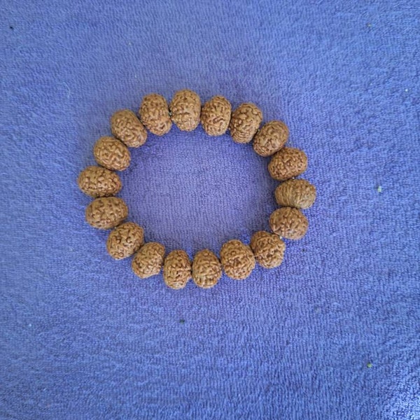 Shrirudram Rare Dwarika Shila Divine Stone, Religious Gifts ...