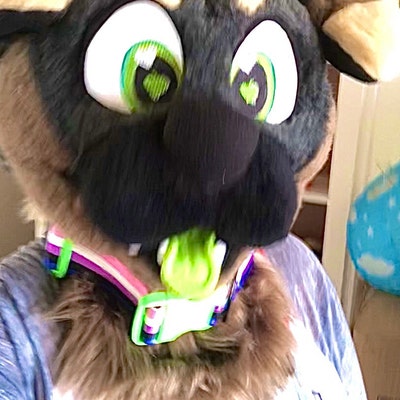 Custom PRIDE Handmade XL Fursuit Costume Collar 2 Wide, 20 Flag Options ...