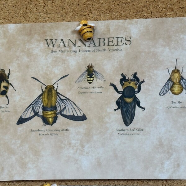 Isopod Bookmark - Block Print, Each One is Unique! - Etsy