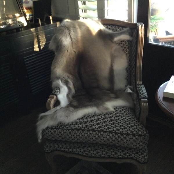 Reindeer Hide Throw & Rug - Etsy