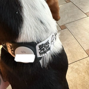 My Chemical Romance Band Dog Collar 2.0 - Etsy