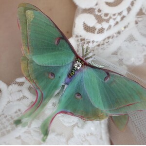 Silk Moth Butterfly Collar Clip Pins With Chains Collar | Etsy