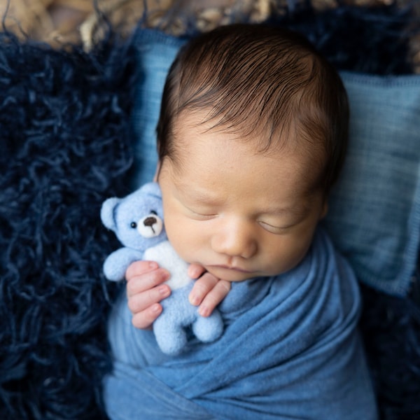 Baby Blue Teddy Bear Stuffy; Newborn Photography Prop; RTS - Etsy