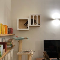 Modern Cat Furniture, Cat Wall Shelf, Square Shelves, Cat Wall ...