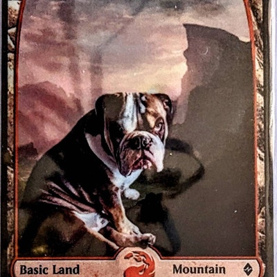 Personalized Pet Magic the Gathering Foil Land - Etsy
