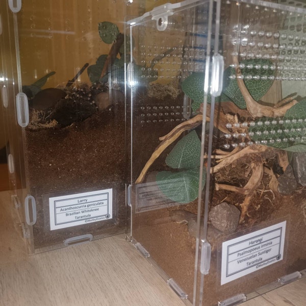 Small Terrarium Label Laminated Enclosure Label Exotic Pet Informative ...