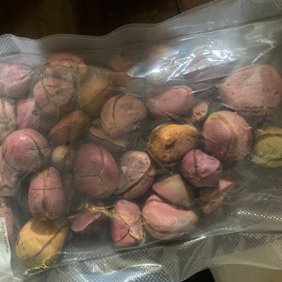 IFA Divination Book in English - Etsy