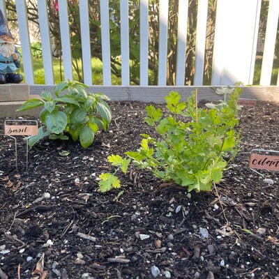 Modern Boho Literacy Center Rotation Cards, Reading Centers, Pocket ...