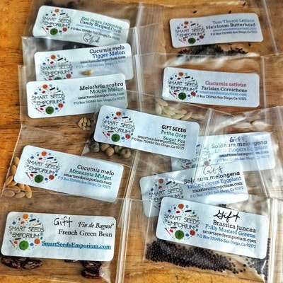 Cornichons, Parisian Pickling Cucumbers, 10 Organic Seeds, Tasty French ...