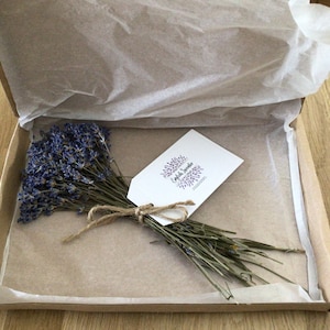 Dried Flowers in A Box Dried Flower Assortment Dried Flower Mix ...