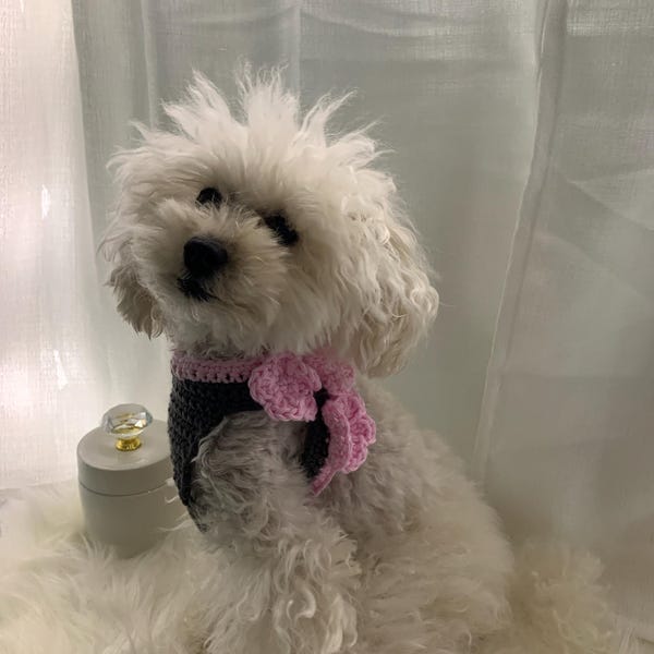 Crochet Dog Harness, 100% Cotton, Handmade Crochet Dog Harness, Crochet ...