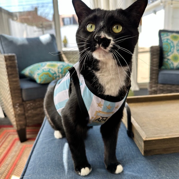 Neon Color Chart & HEX Codes, Printable, Designer Quick Reference ...