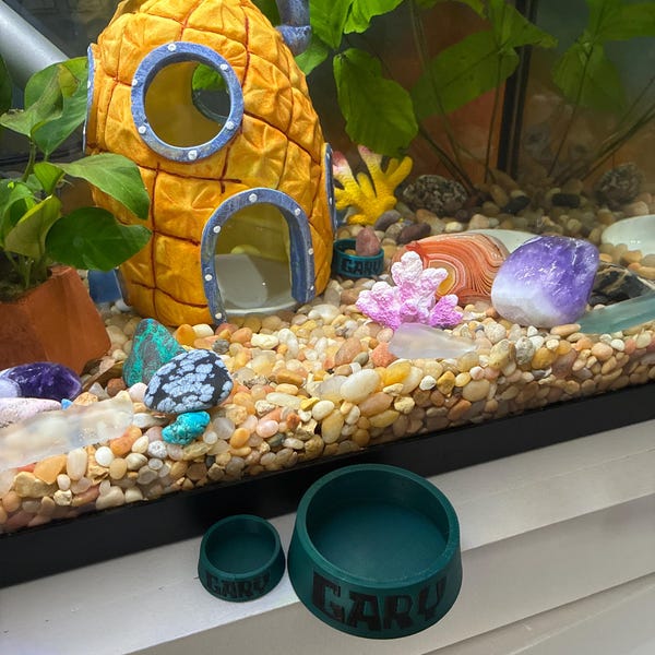 Gary's Bowl Inspired by Spongebob - Etsy