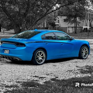 Jeep Gladiator Tailgate Decal Cheetah / Leopard Print - Etsy