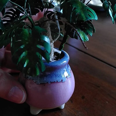 Kit Miniature Plants Monstera Dollhouse Flowers Miniatures in 12th ...