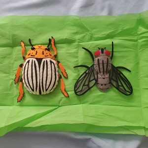 Felt Weevil Realistic Toy Felted Weevil Young Naturalist - Etsy