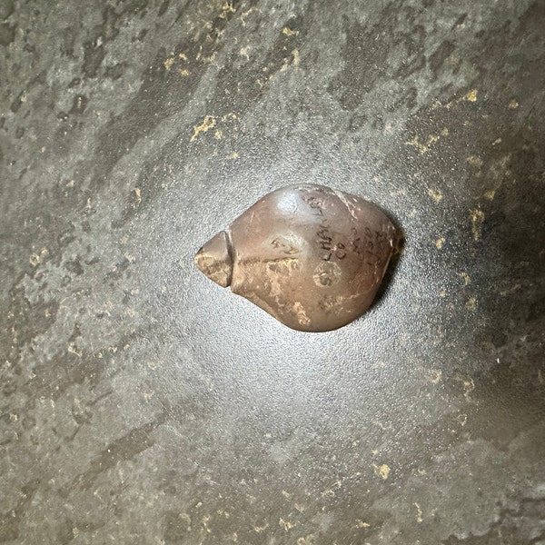 Large & Thin Authentic Scottsbluff Type I Projectile Point Ancient ...