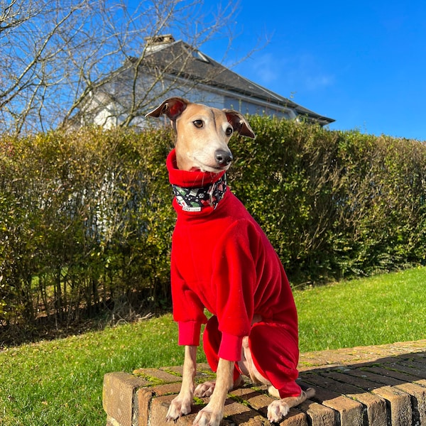 Italian Greyhound Coat, Winter Jacket, Cozy and Warm, Comfortable and ...