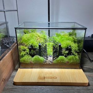 Turquoise Tropical Springs Terrarium With Live Moss in Mini - Etsy