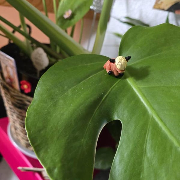 Cloud Shaped Rainbow Window Clings. Prism and Light Bending. Unique ...