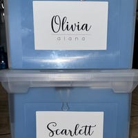 Printable Milestone Tote Labels Instant Download School File Box Labels ...