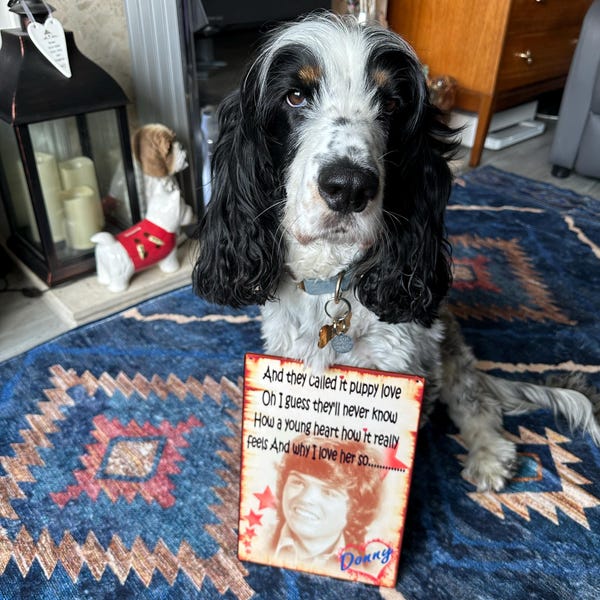 Retro Elvis Presley Sign 1950s Vintage Music Sign Love Me Tender Elvis ...