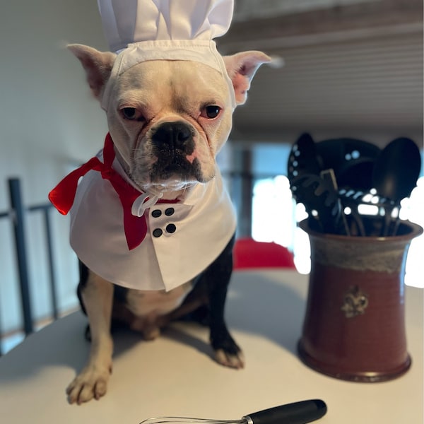 Halloween Chef Dog Cat Pet Costume, Kitchen Helper Assistant Costume ...