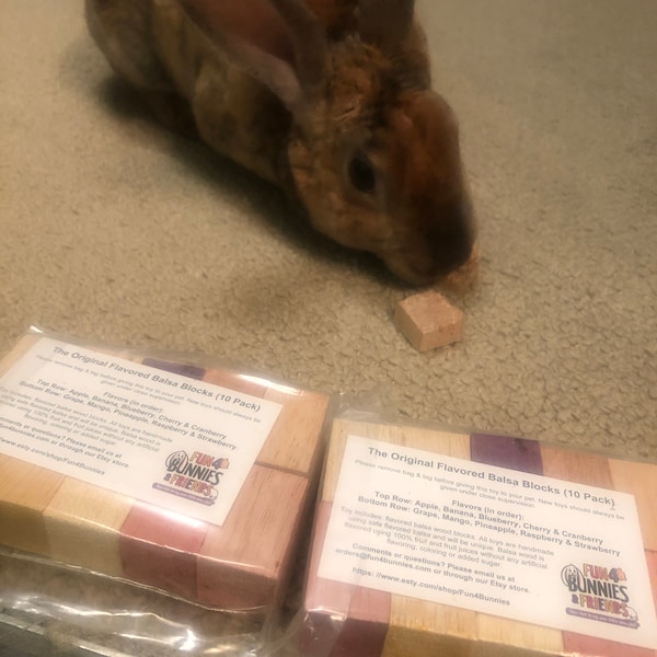 20 of the Original Flavored Balsa Blocks- Flavored Chew Toys for ...