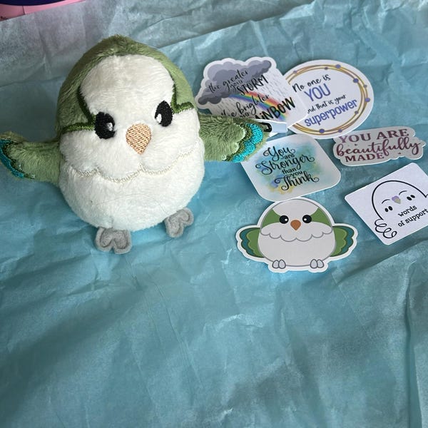 Nuzzles Worry Borb, Lovebird Plush, Parrot Plush, Anxiety Plush, Peach ...