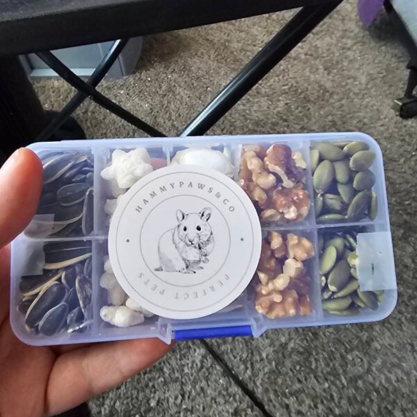 Hamster Treat Boxes - Etsy