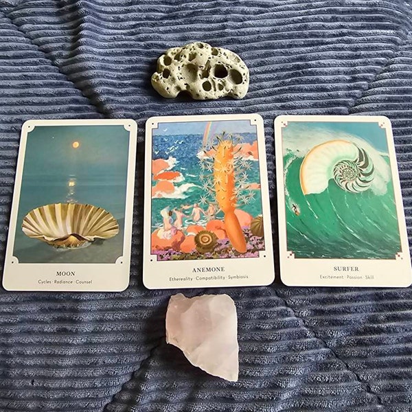 The Seashell Oracle- 44 Card Deck for Divination, Wisdom of the Sea ...