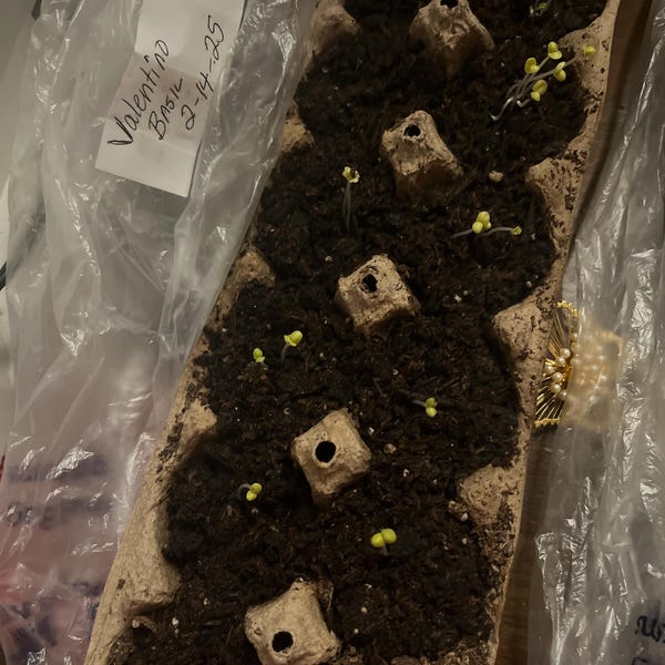 58 Heart Zentangle Mandala Coloring Pages 8x11in 500 DPI PNG, Scrapbook ...