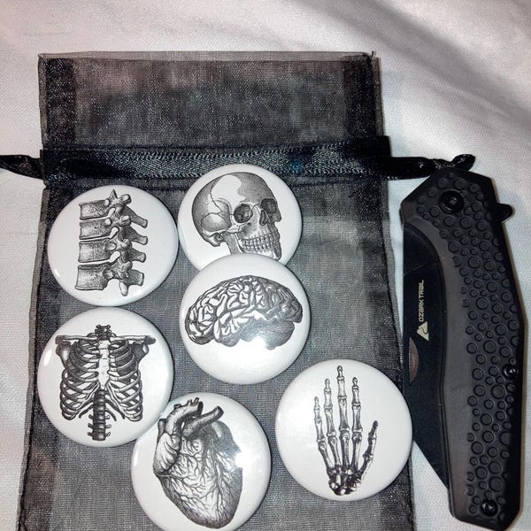 Button Pin Skull Human Body Anatomy Skeleton Medical Gift Halloween ...
